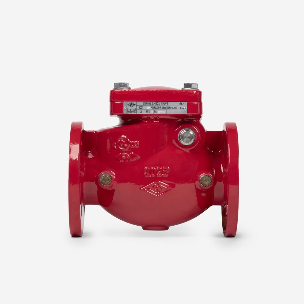 SWING CHECK VALVE - Prowinner